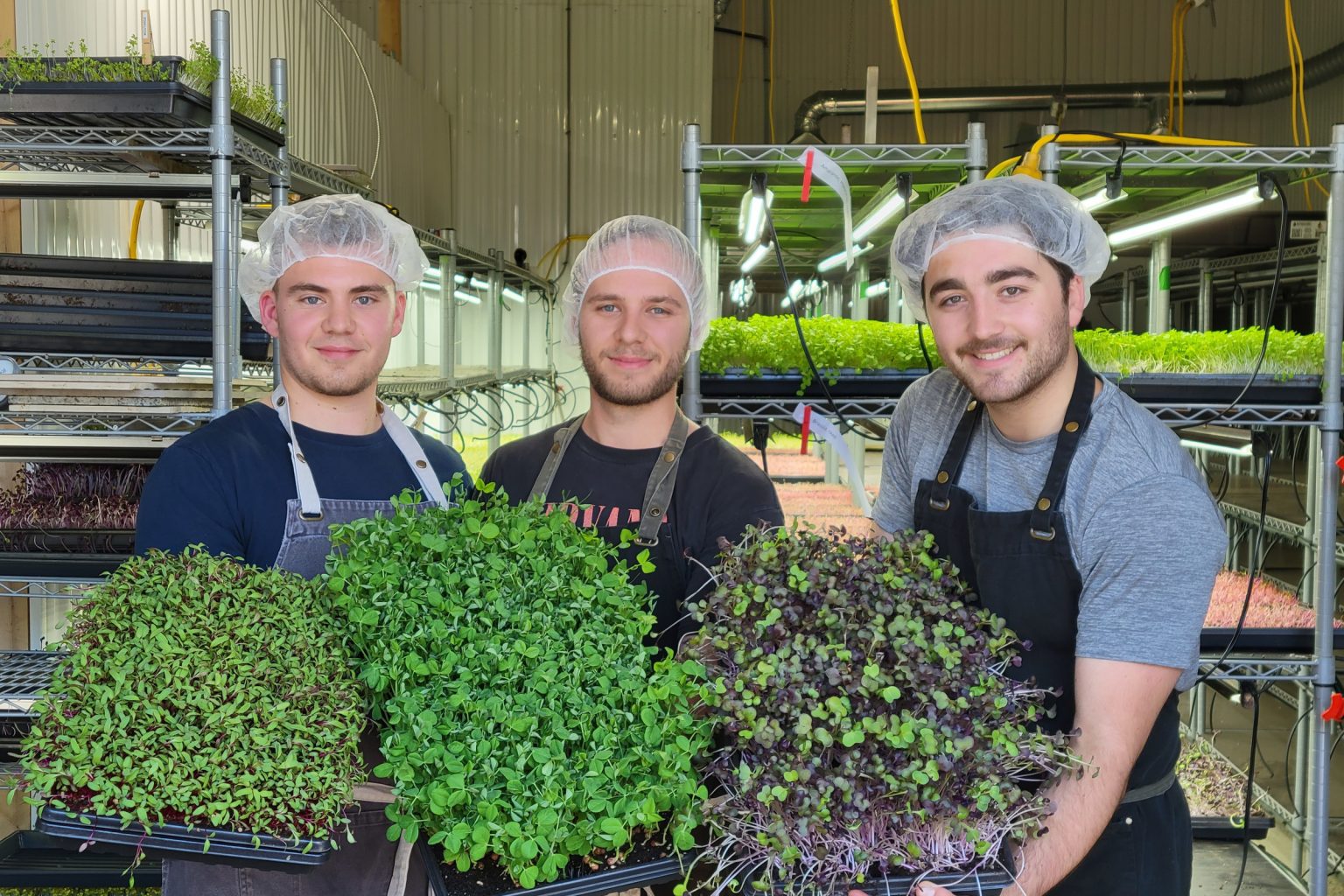 Micro plants Robert - MIAM